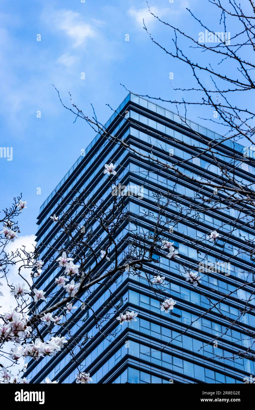 A modern high-rise building with a flourishing display of pink flowers ...