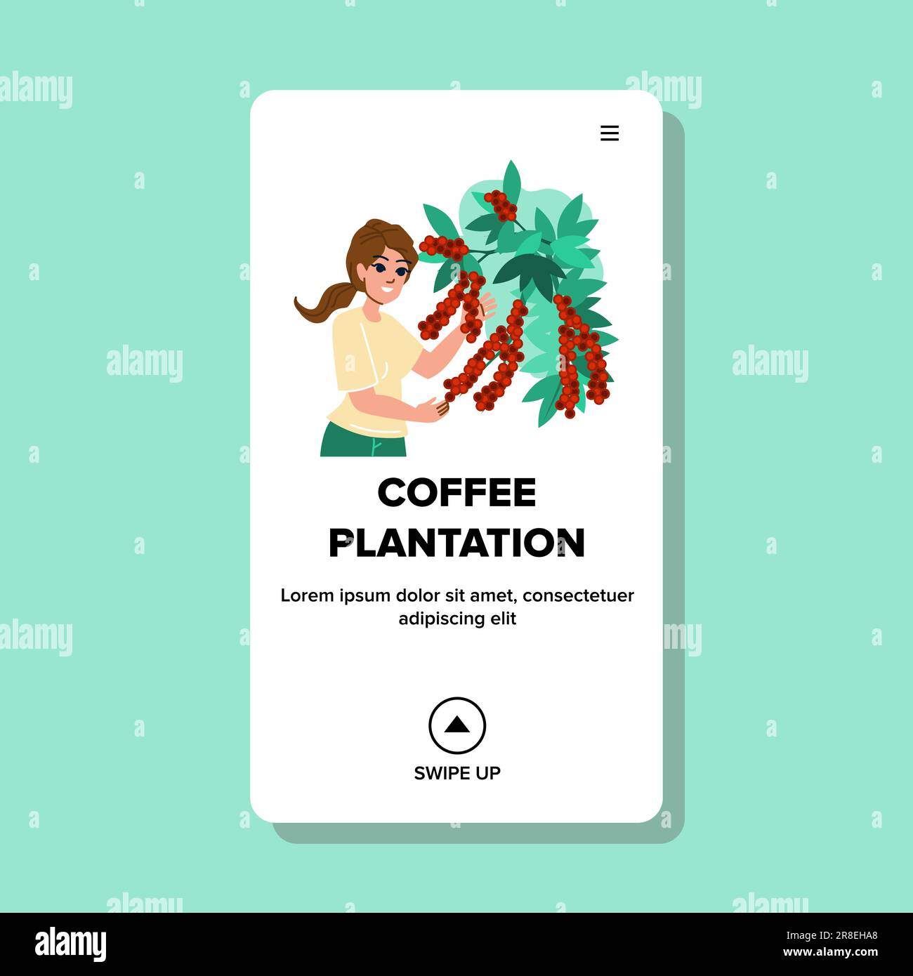 coffee plantation vector Stock Vector Image & Art - Alamy