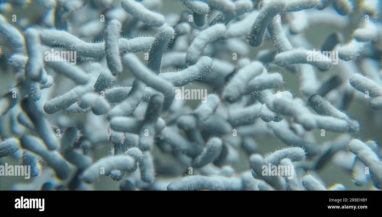 Bacteria and virus under microscope. Escherichia. Cyan background with ...