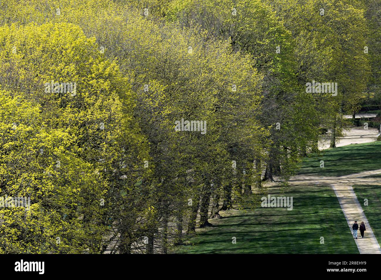 Parc du Cinquantenaire / Jubelpark in Brussels, Belgium © Wojciech ...