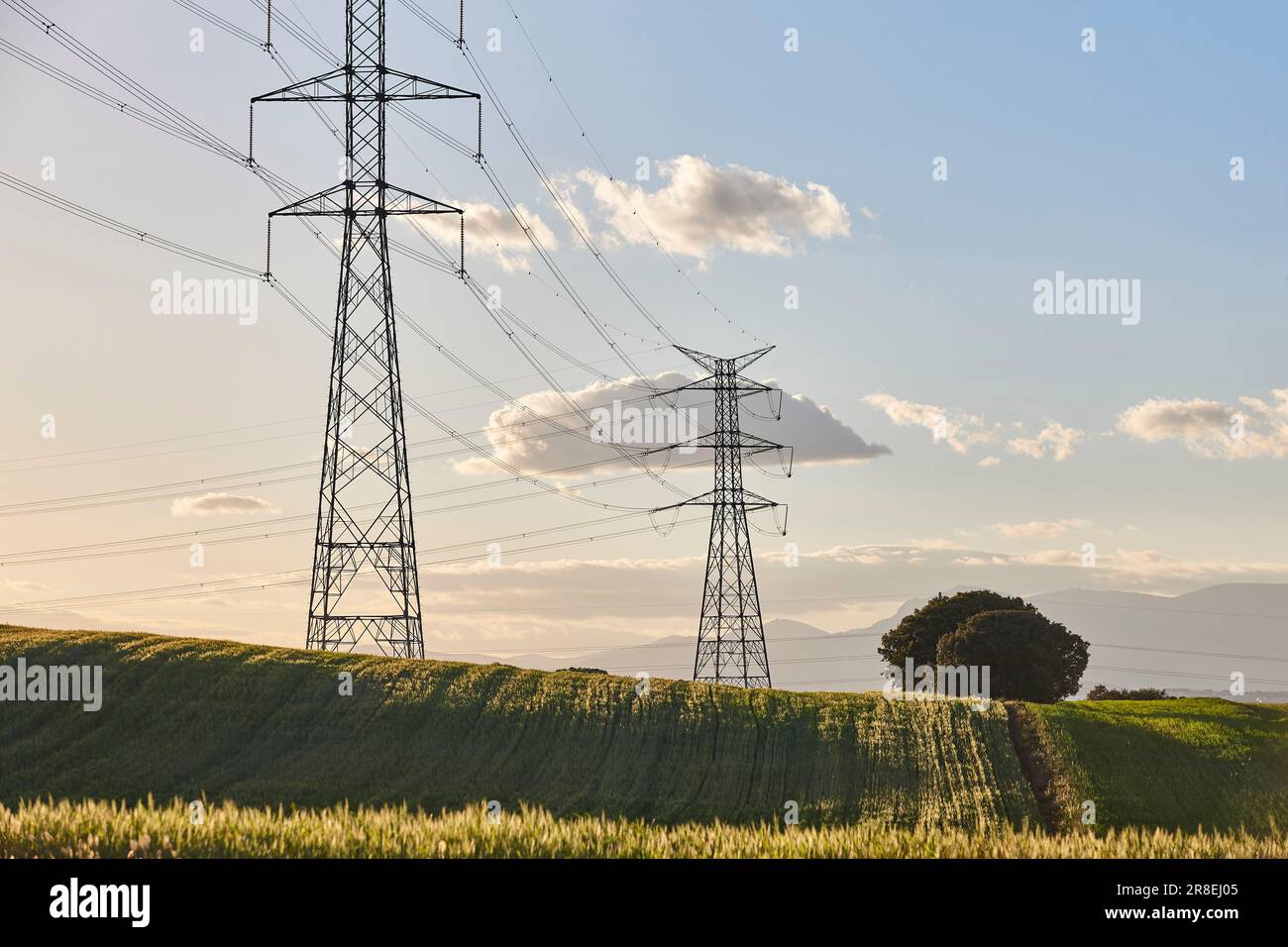 Power lines. Energy industry. Industrial electricity transmission ...