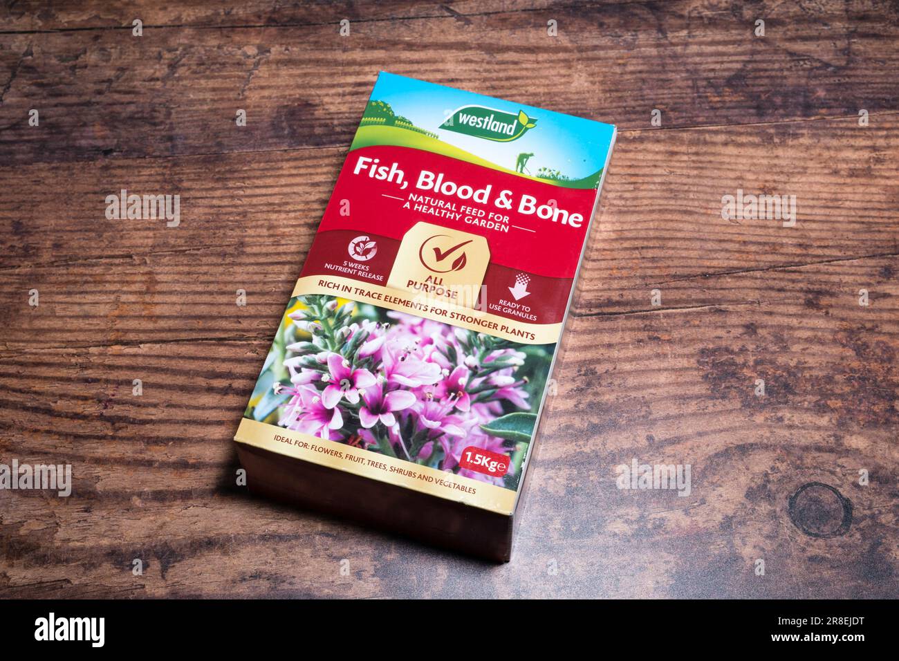 Fish process plant design hi-res stock photography and images - Alamy