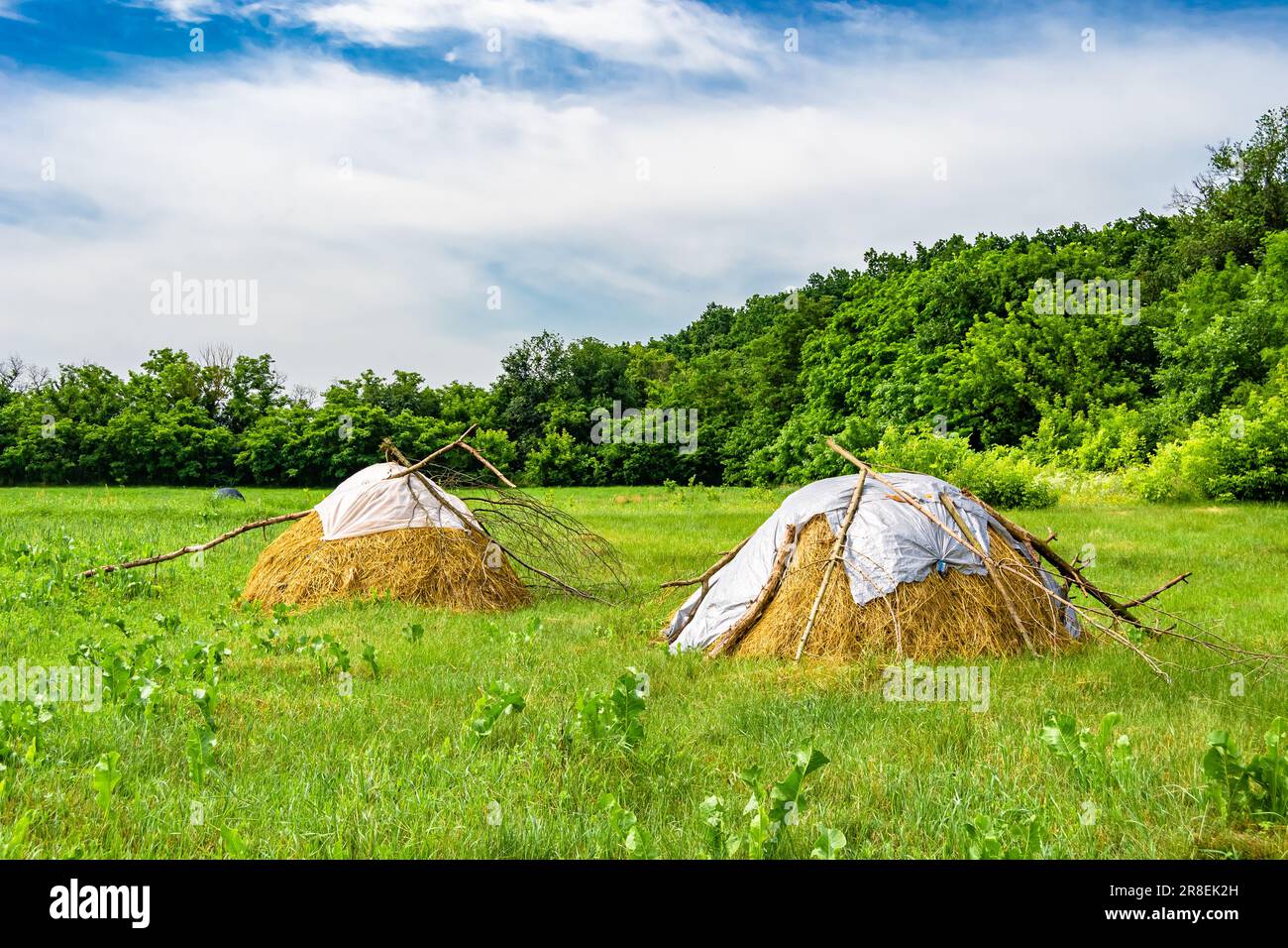 Photography on theme big dry haystack in grass farm field, photo ...