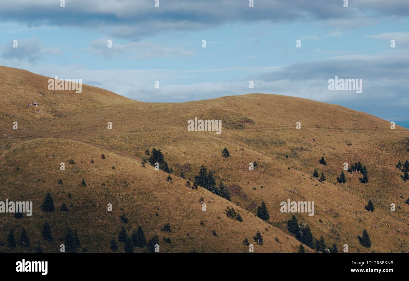 Orange mountain field Stock Photo - Alamy