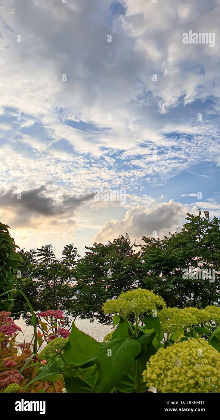 Nature in the park at sunset. View of the pond and the evening sky ...