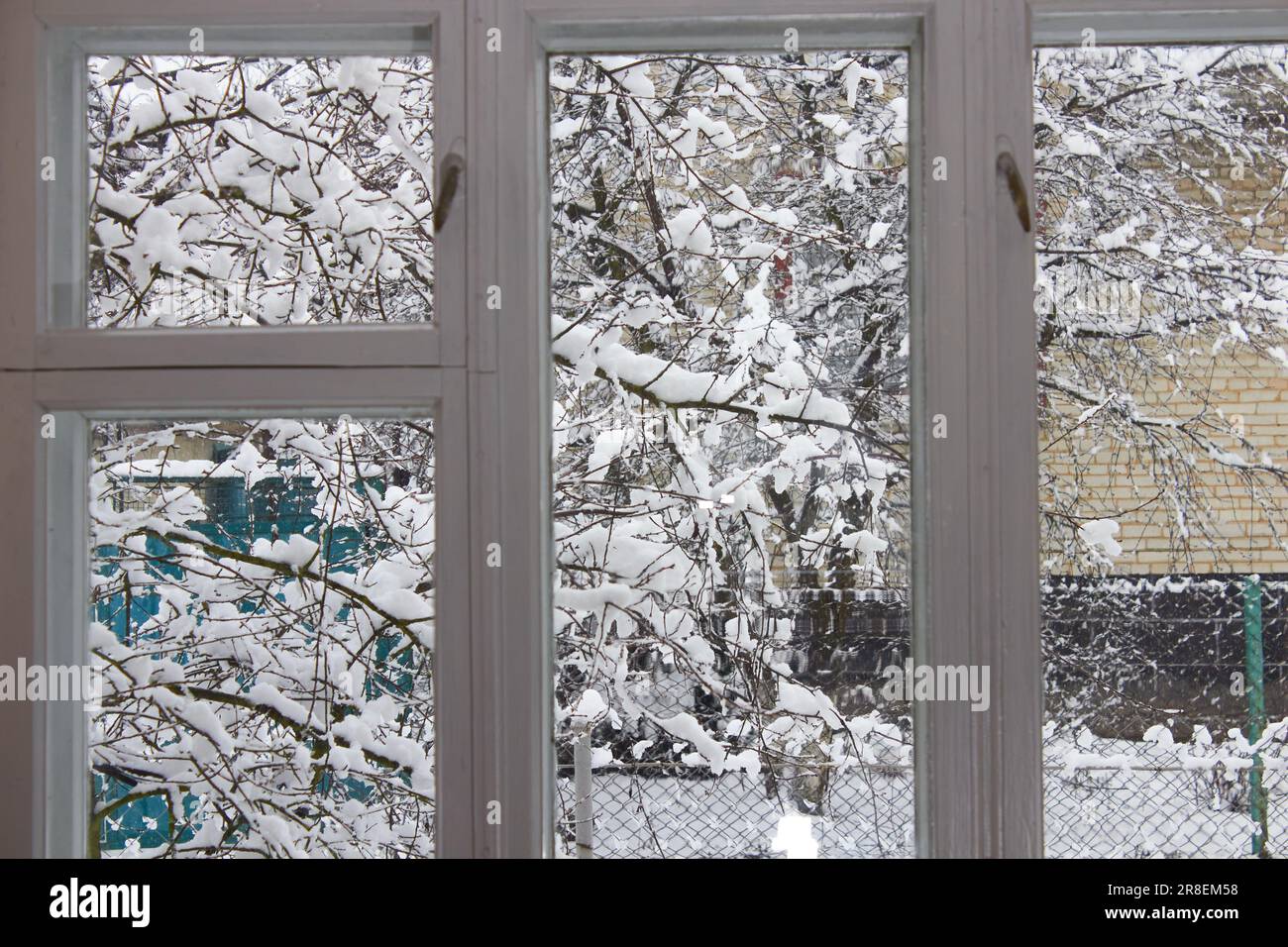 snow on a tree outside the window Stock Photo - Alamy