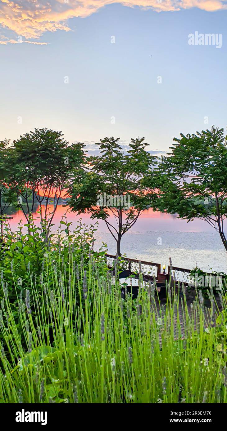 Nature in the park at sunset. View of the pond and the evening sky ...