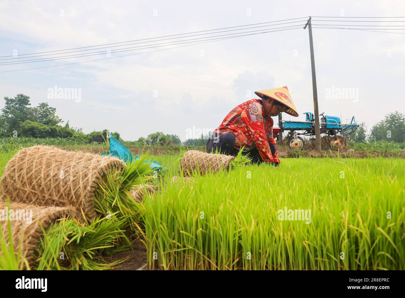 NANJING, CHINA - JUNE 21, 2023 - A farmer uses an unmanned intelligent ...