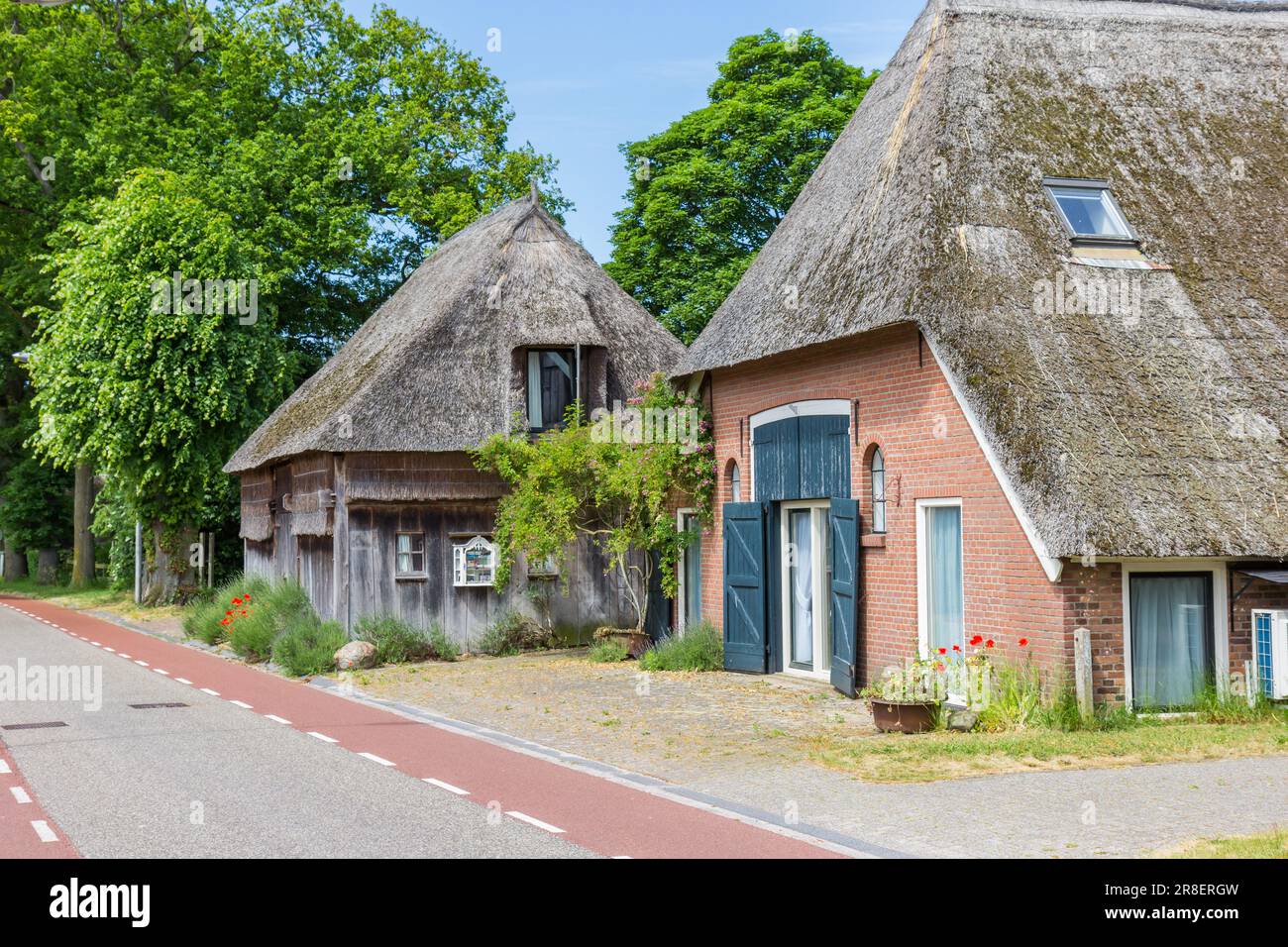 Historic farm house with thatched roof in Zweeloo, Netherlands Stock ...