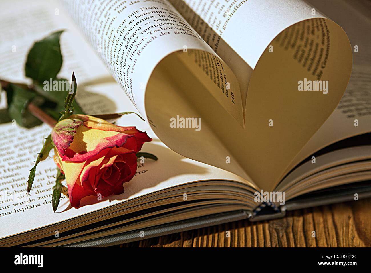 Book paper rose hi-res stock photography and images - Alamy