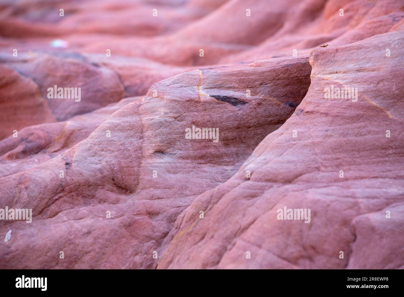 The Siq, narrow red canyon wall texture background in Petra, Jordan, UNESCO World Heritage Site ...
