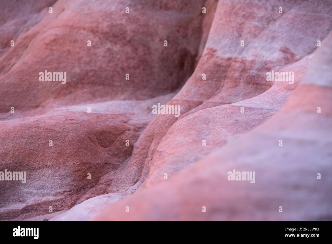 The Siq, narrow red canyon wall texture background in Petra, Jordan ...