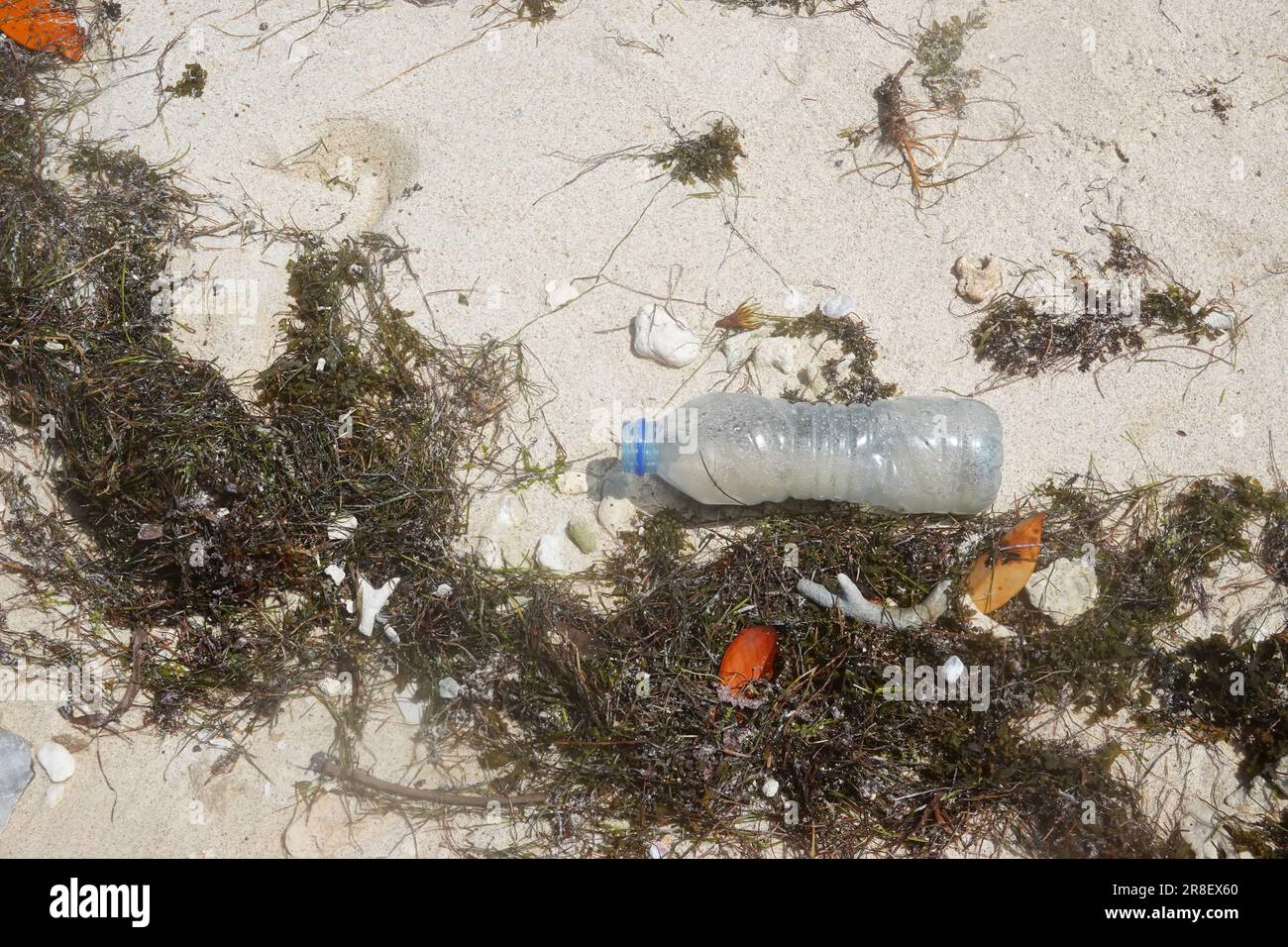 Plastic waste, beach of Mauritius Stock Photo - Alamy