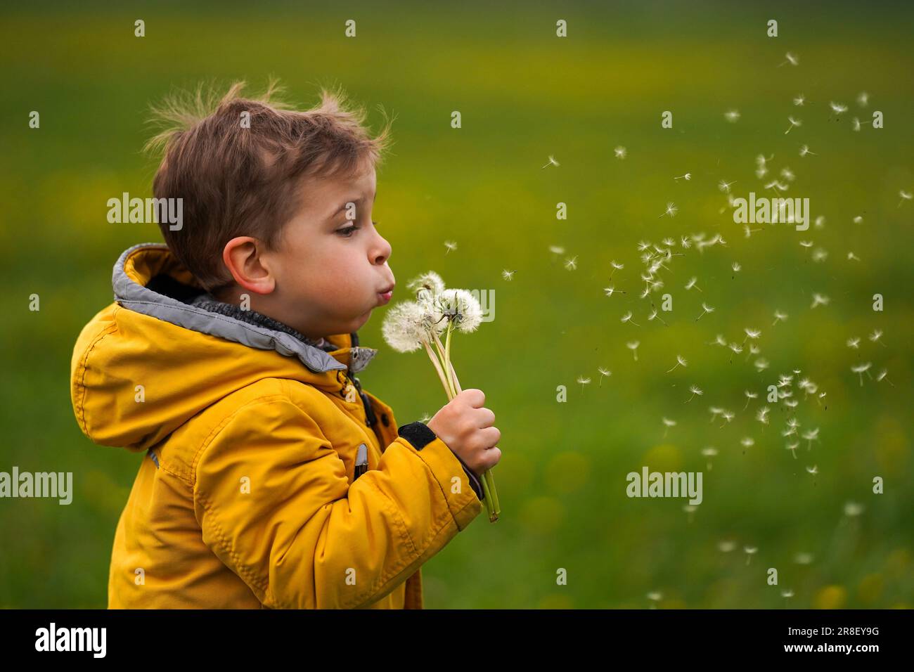 Child Blowing Dandelion