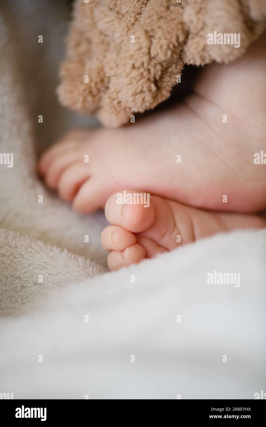 Sweet tiny baby newborn feet toes close up macro, relaxed in bed crib ...
