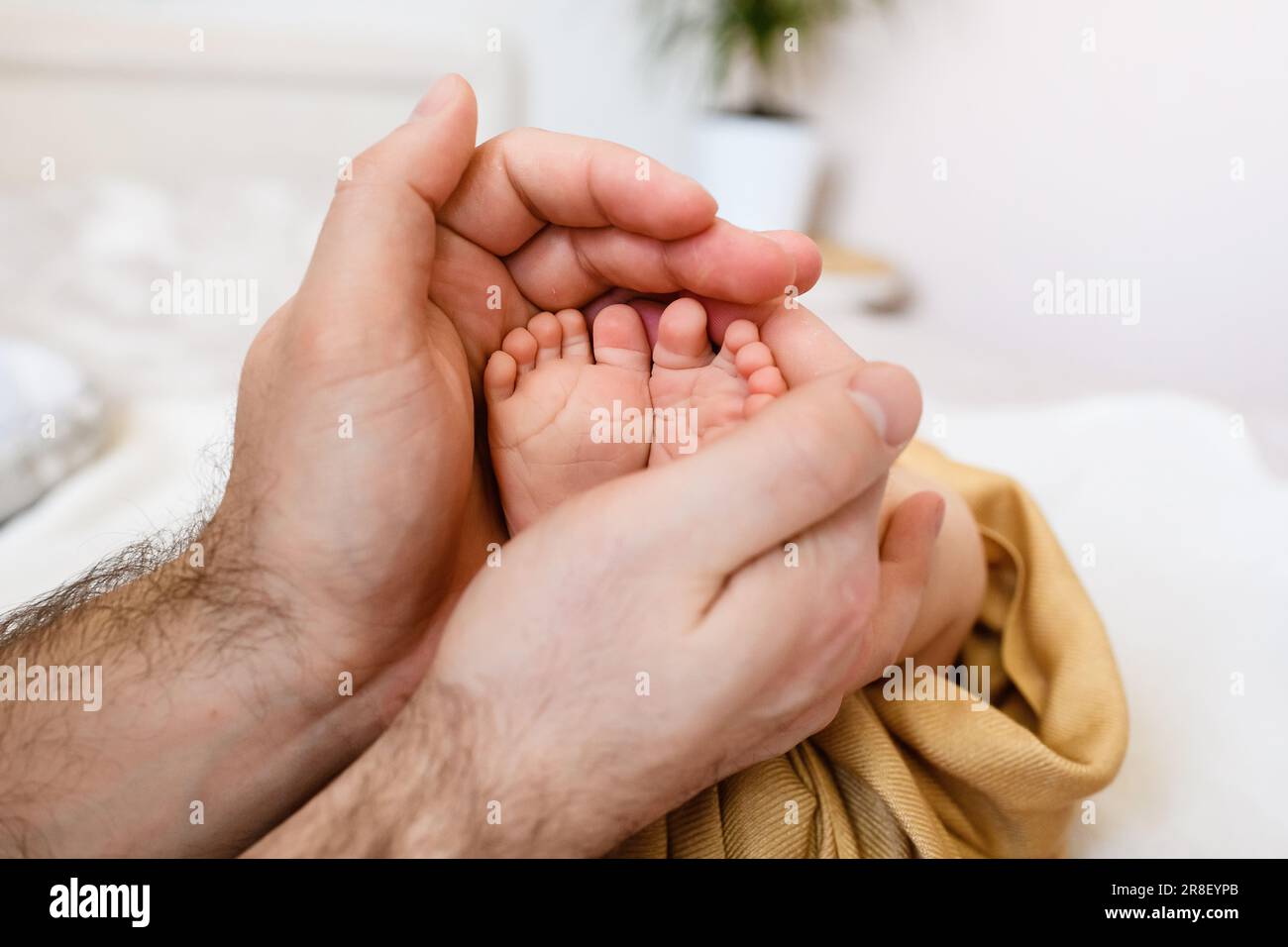 Tiny baby toes in father hands, family love and unity, father holds ...