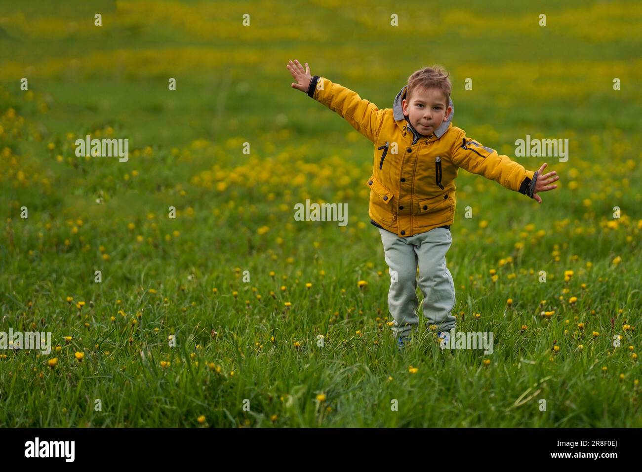 The boy runs with his hands raised across the field. Happy child ...