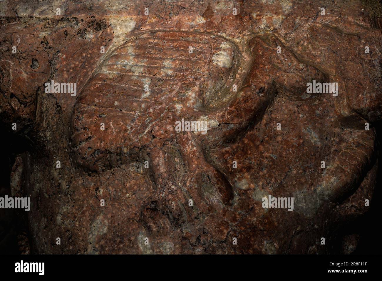 1200s carving hi-res stock photography and images - Alamy