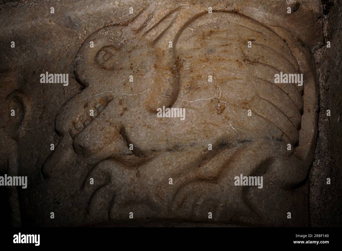 Medieval carving france beast hi-res stock photography and images - Alamy