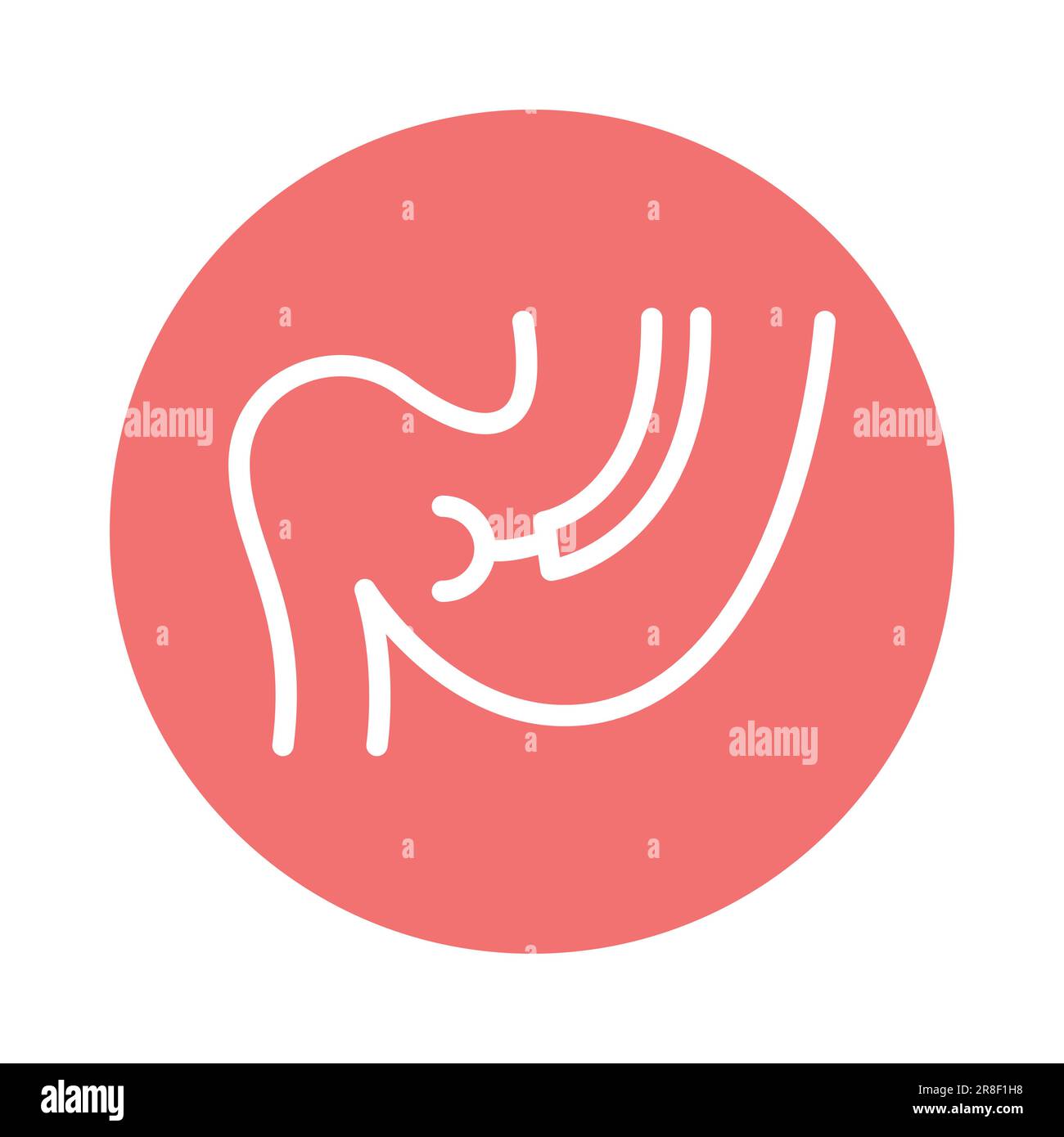 Stomach biopsy color line icon. Isolated vector element. Outline ...