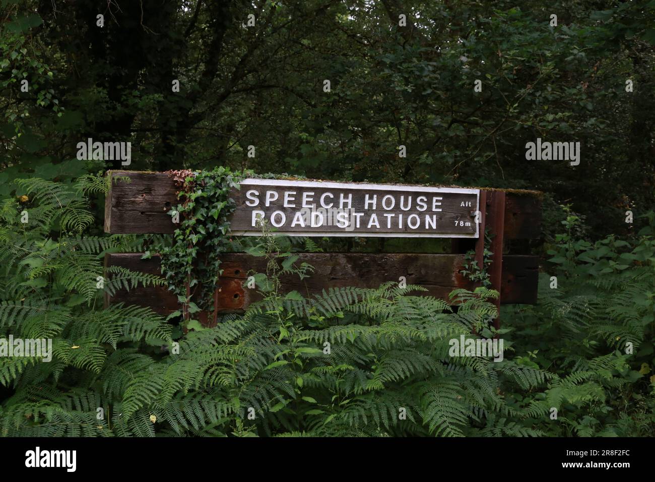 Central bridge signforest of dean cycle routecycling in the woodscycle ...