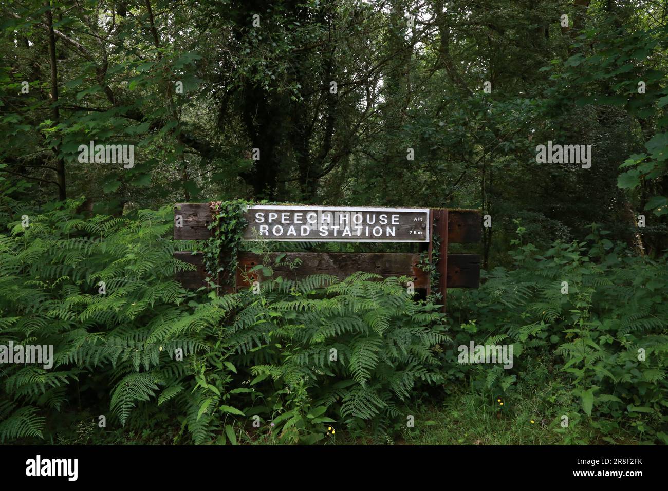 Oak forest station hi-res stock photography and images - Alamy