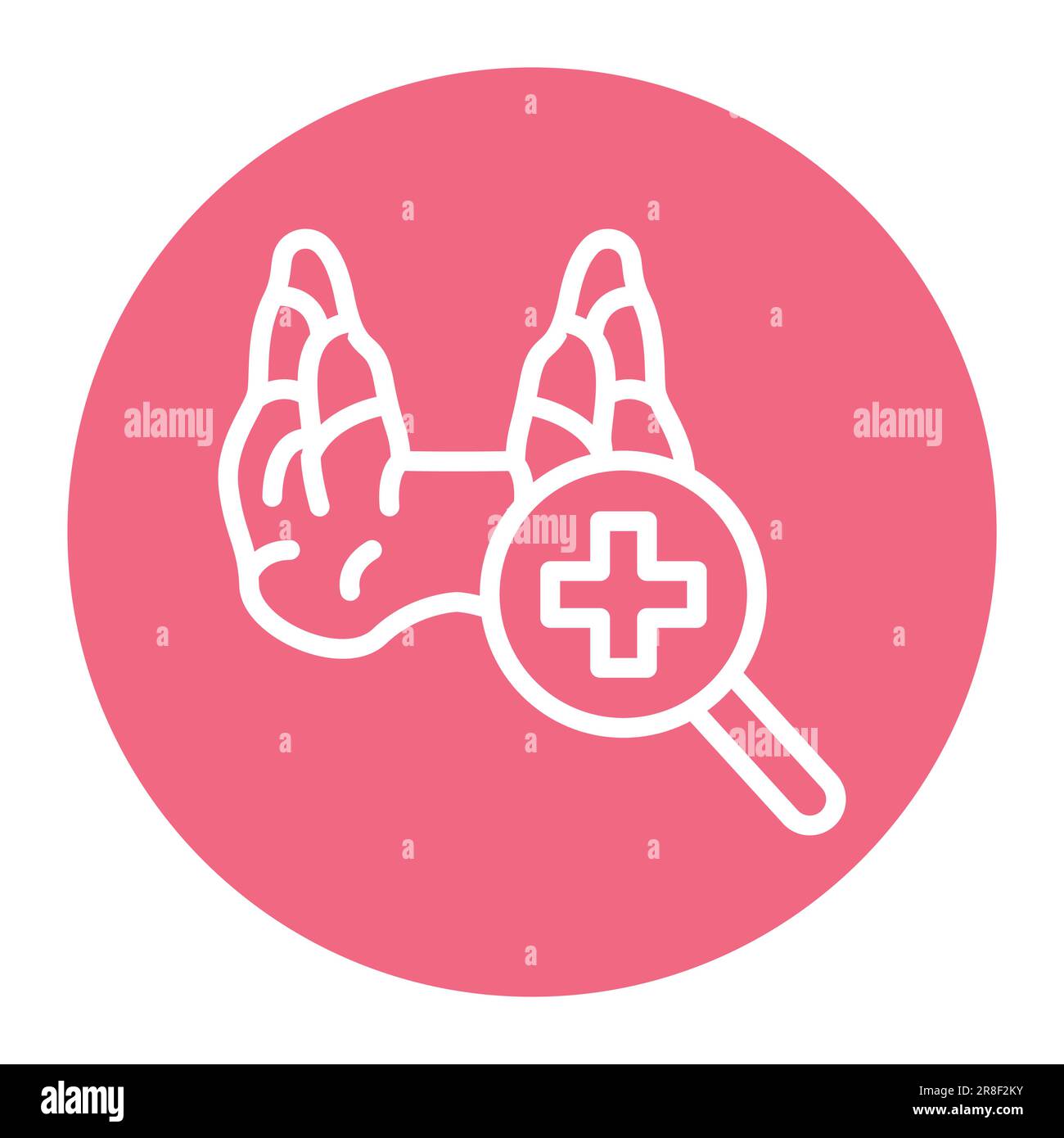 Human thyroid gland anatomical drawing Stock Vector Images - Alamy