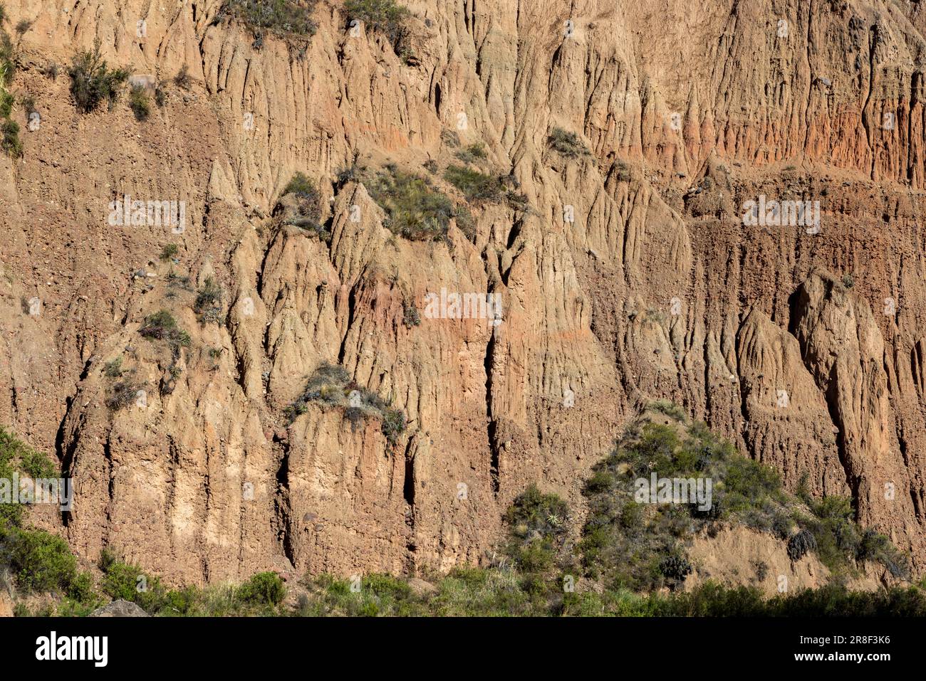Exploring the beautiful Palca Canyon, a natural sight in the ...