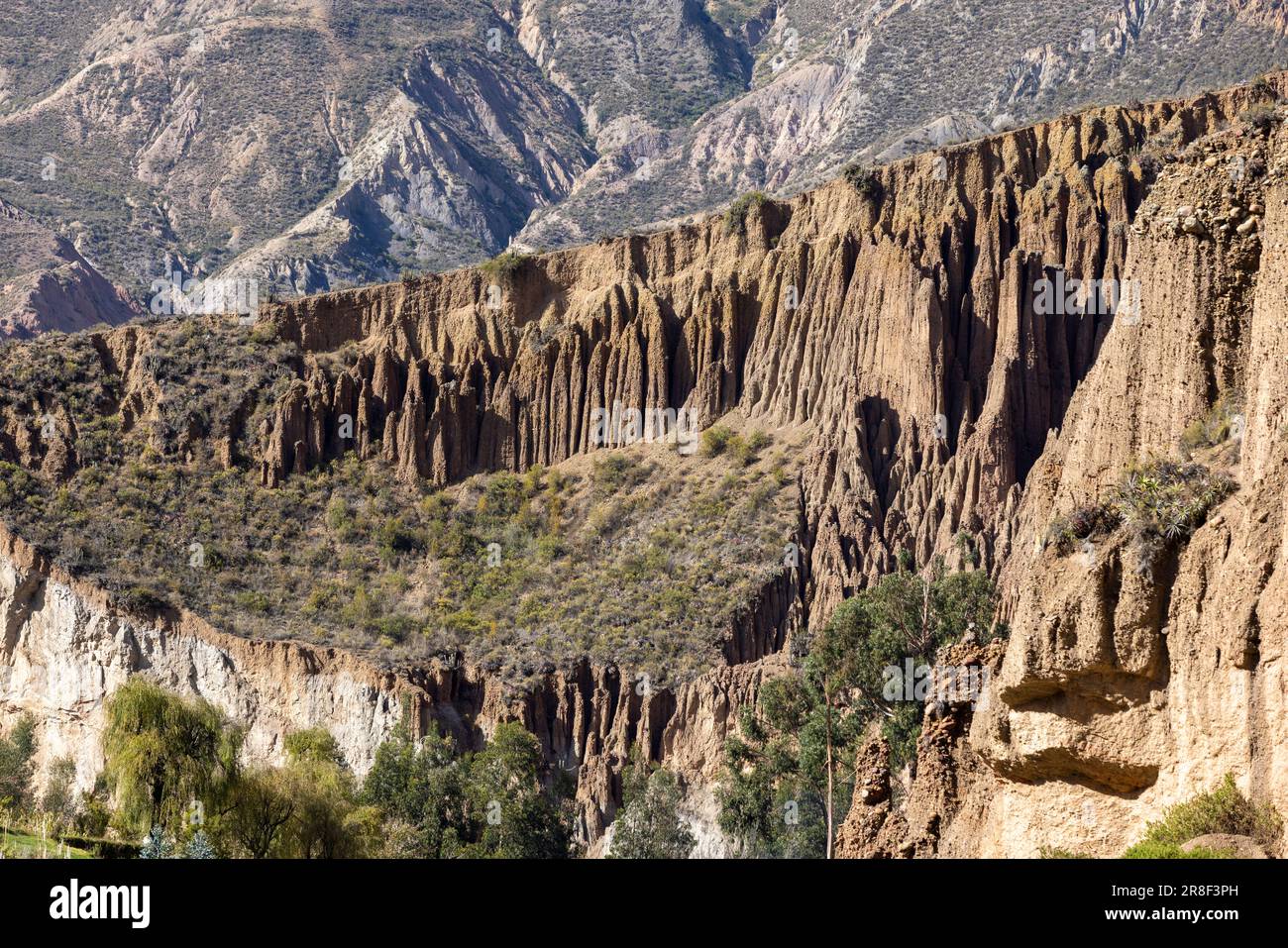 Exploring the beautiful Palca Canyon, a natural sight in the ...