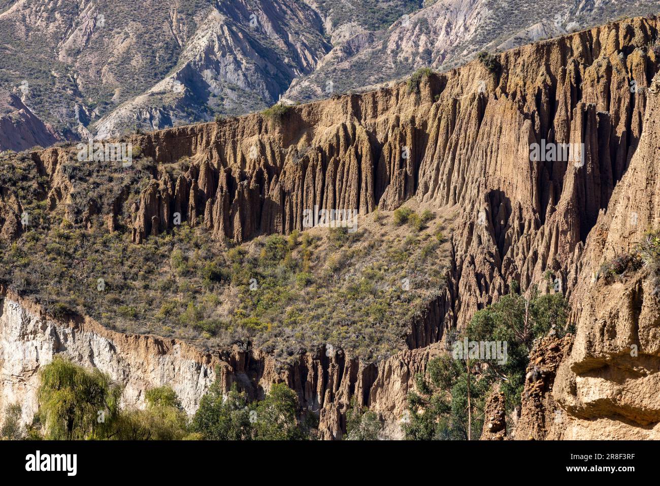 Exploring the beautiful Palca Canyon, a natural sight in the ...