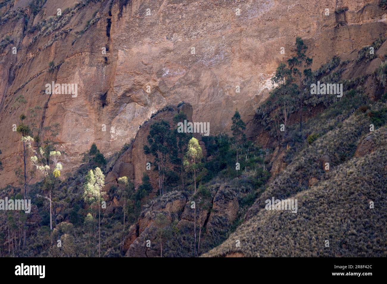 Exploring the beautiful Palca Canyon, a natural sight in the ...