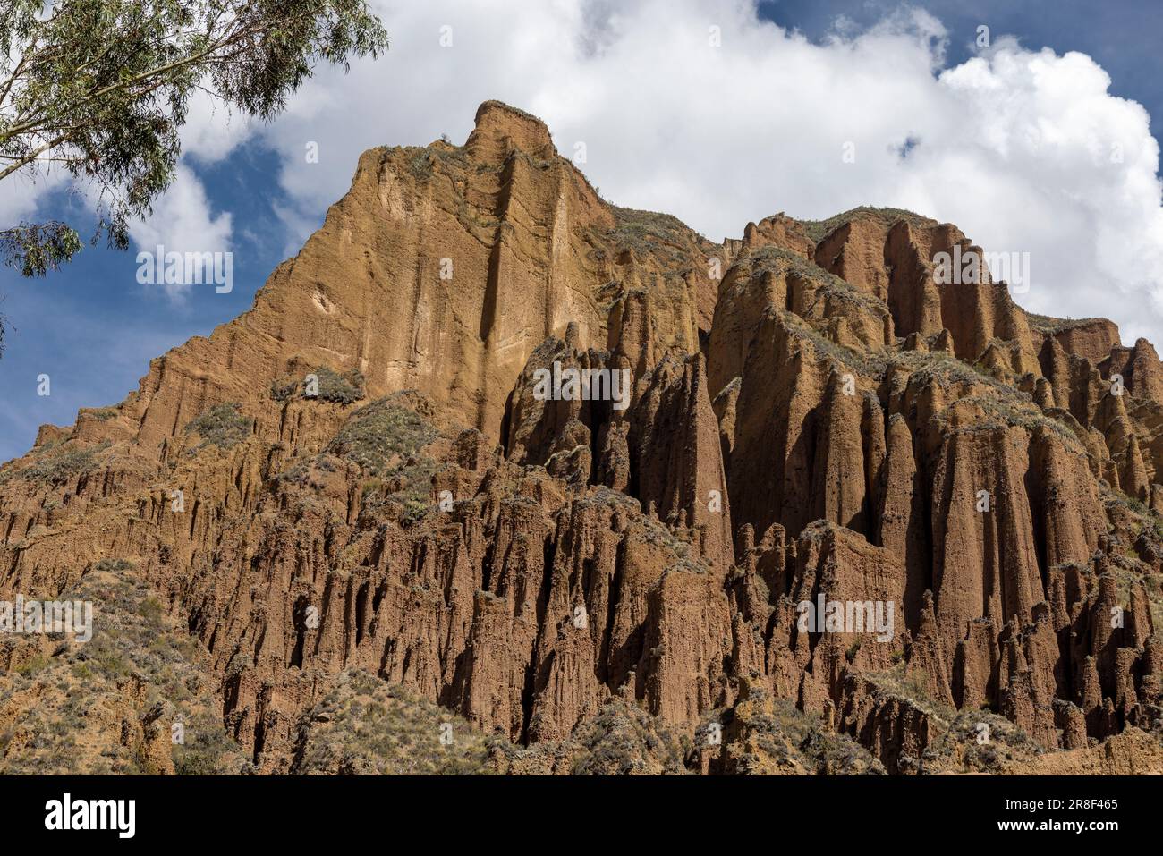 Exploring the beautiful Palca Canyon, a natural sight in the ...