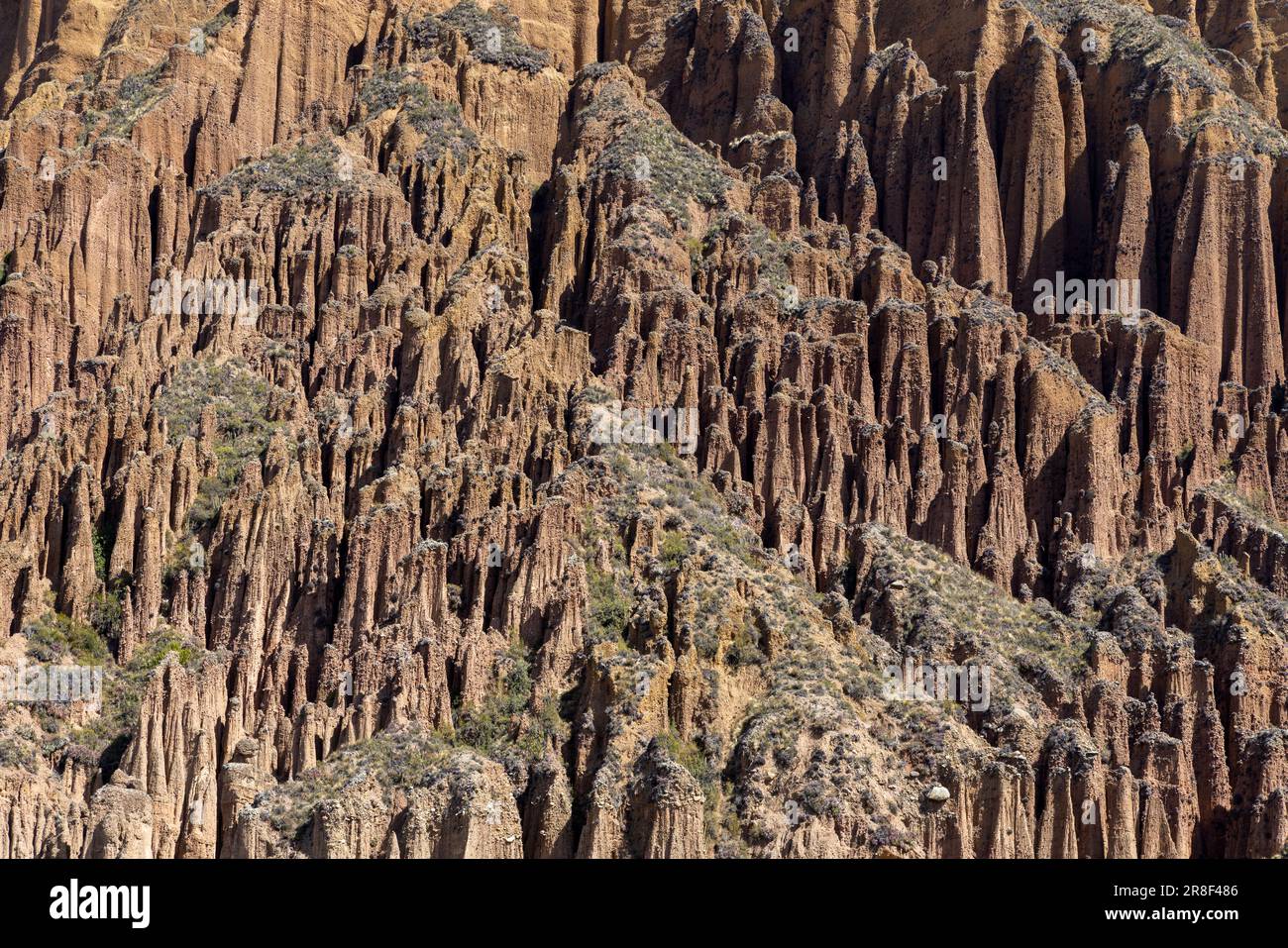 Exploring the beautiful Palca Canyon, a natural sight in the ...