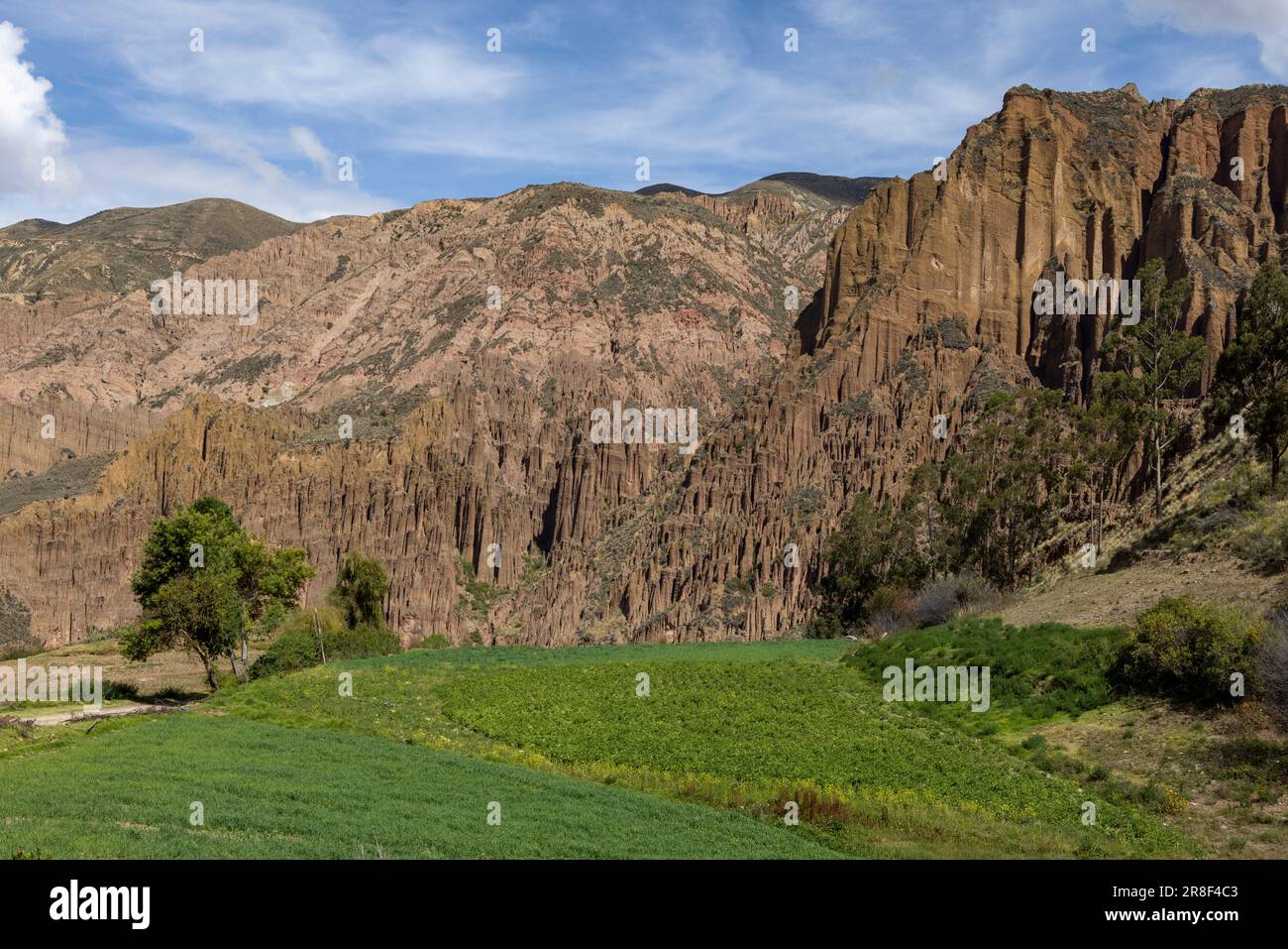 Exploring the beautiful Palca Canyon, a natural sight in the ...
