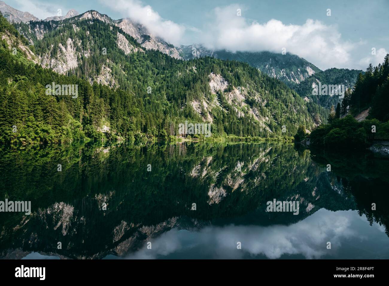 A scenic view of a forest with a lake in Jiuzhaigou, Sichuan Province ...