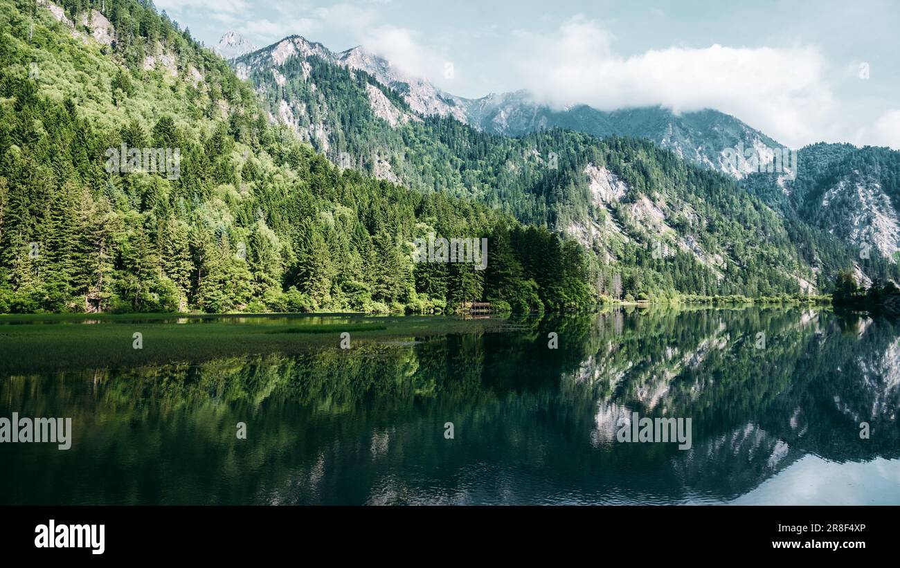 A scenic view of a forest with a lake in Jiuzhaigou, Sichuan Province ...