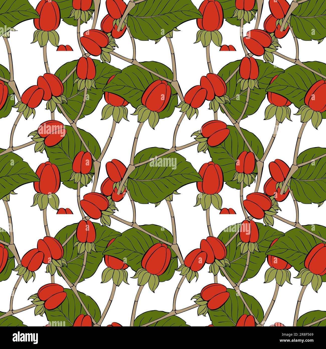 Hypericum androsaemum pattern hand drawn, with berry and leaf. Vector ...