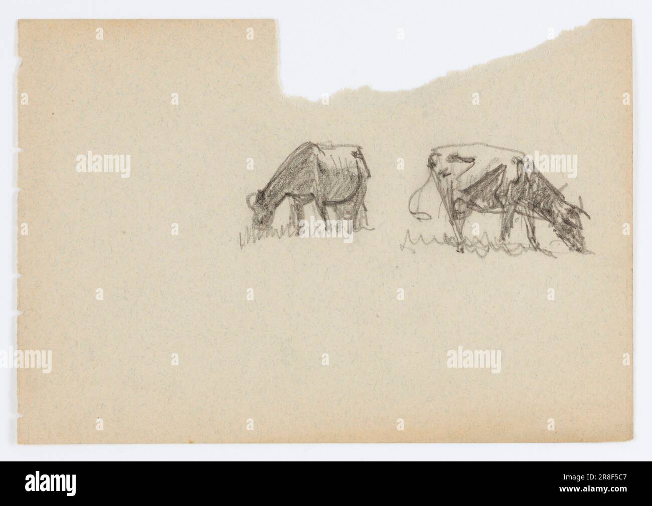 Untitled (Two Cows) [] by Howard Russell Butler, born New York City ...