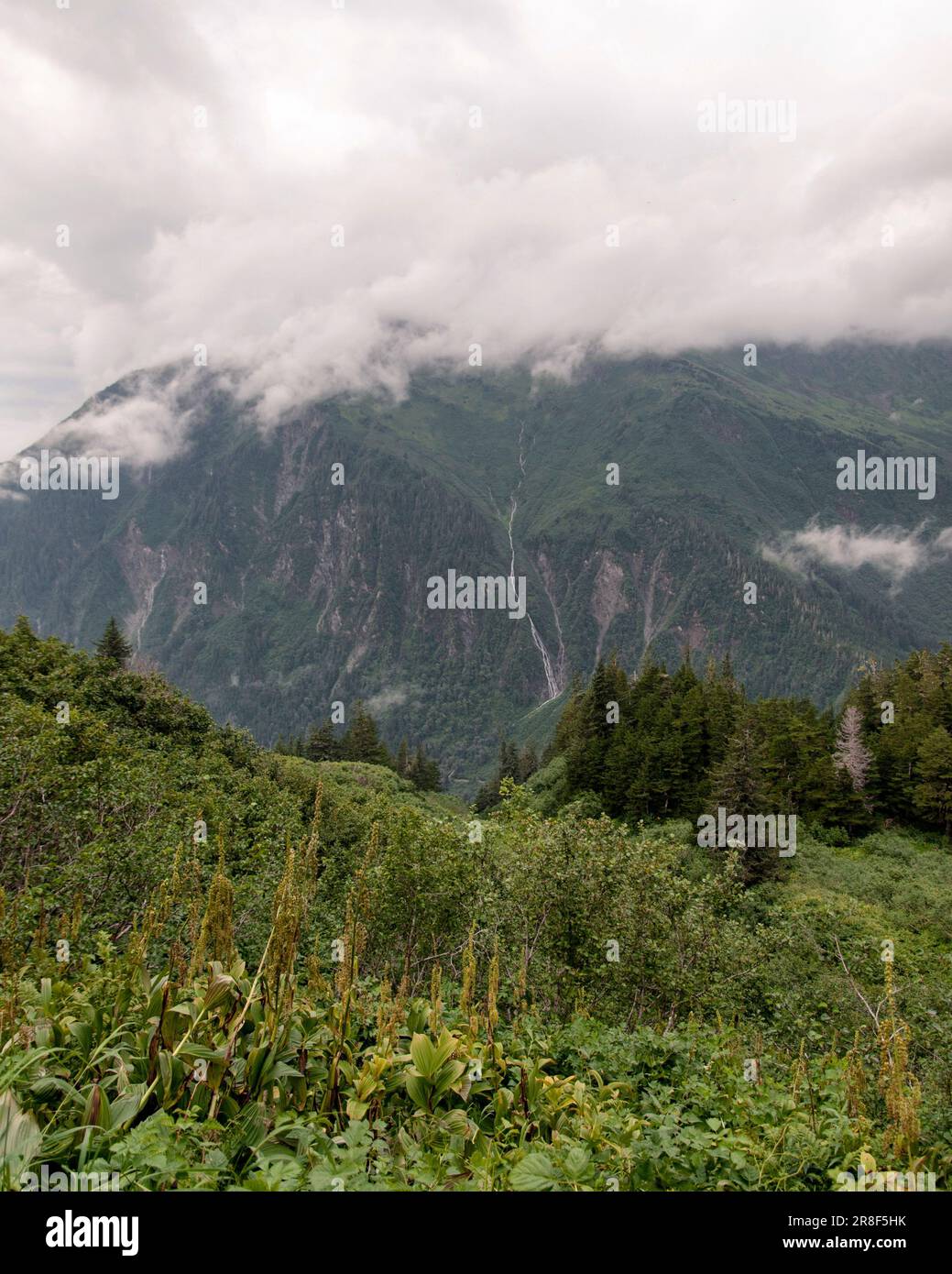 A scenic view of the city skyline of Juneau, Alaska, surrounded by ...