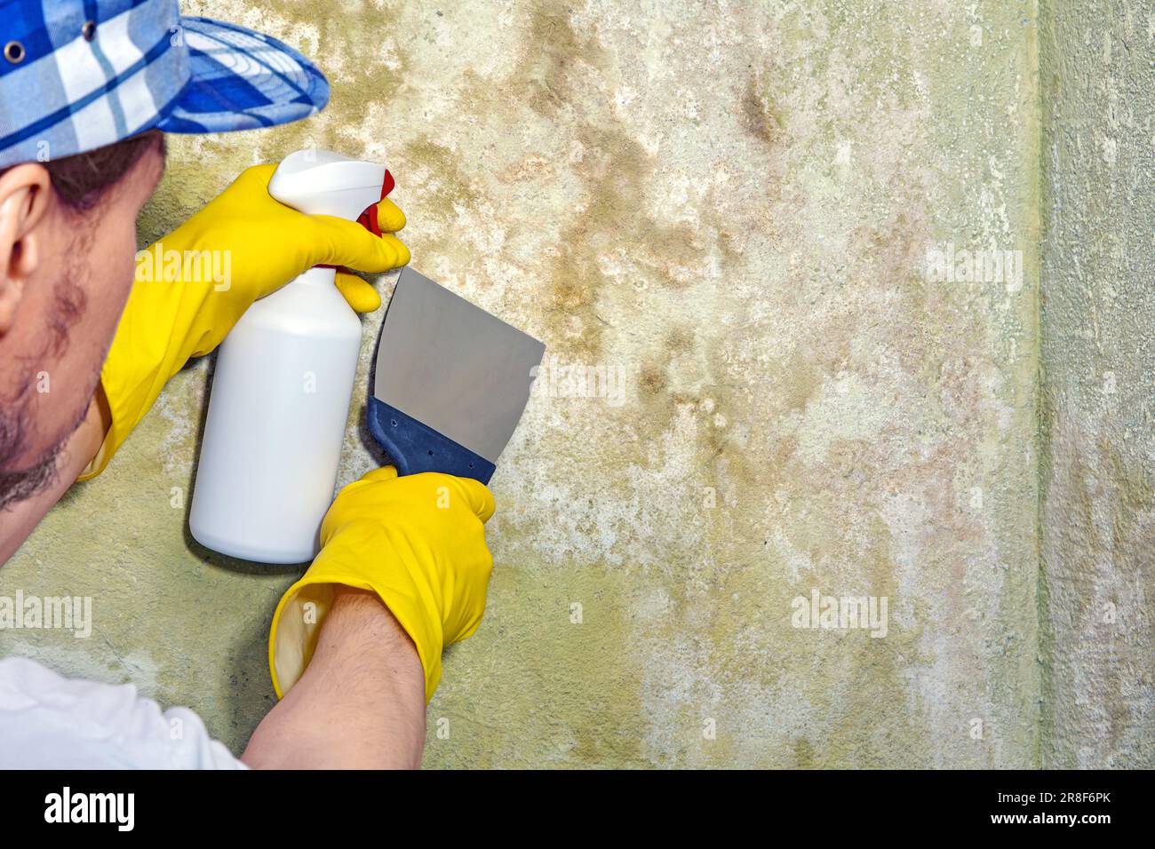 A repairman with a spray gun and a spatula cleans mold and fungu Stock ...