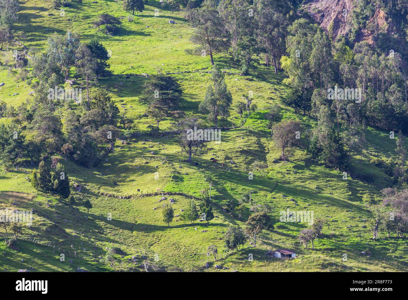 Rural landscapes in green colombian mountains Stock Photo - Alamy