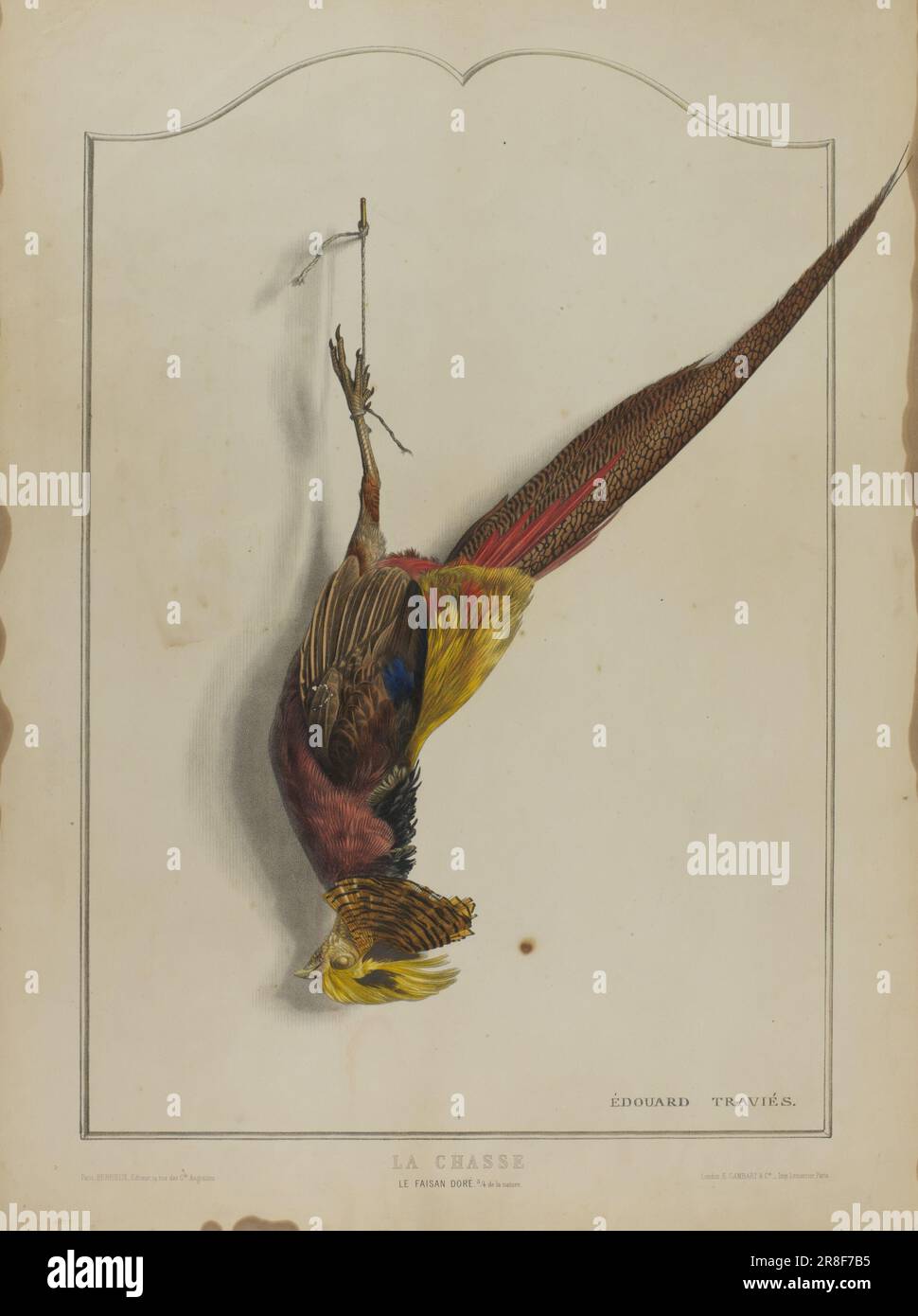 La Chasse: Le Faisan Dore n.d. by Édouard Travies, French, born ...
