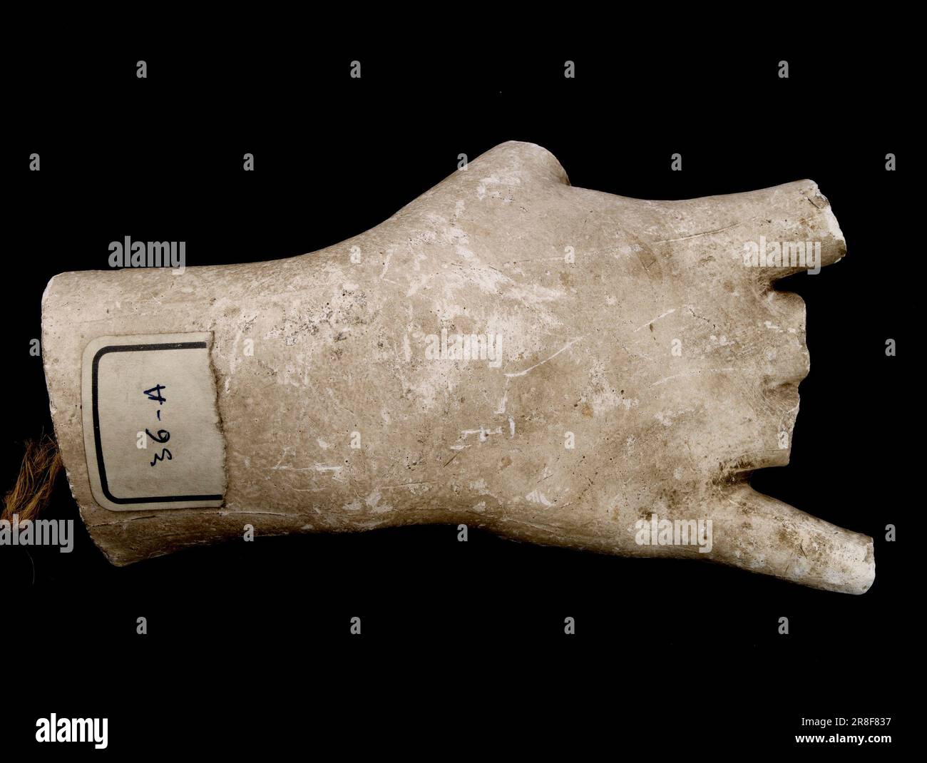 Cast of an Unidentified Right Hand, Shown Open (all fingers missing) n ...