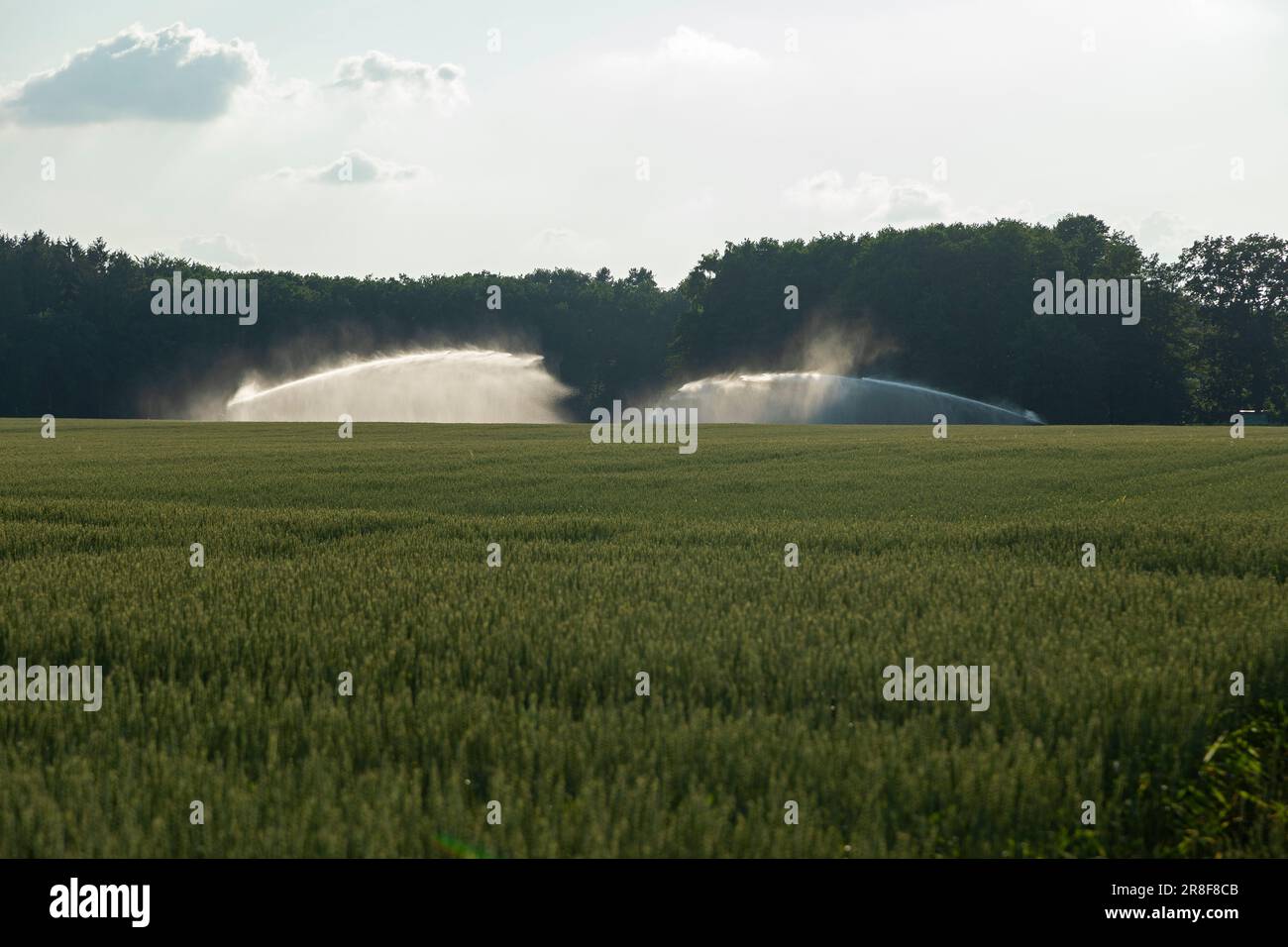 Rural spray hi-res stock photography and images - Alamy