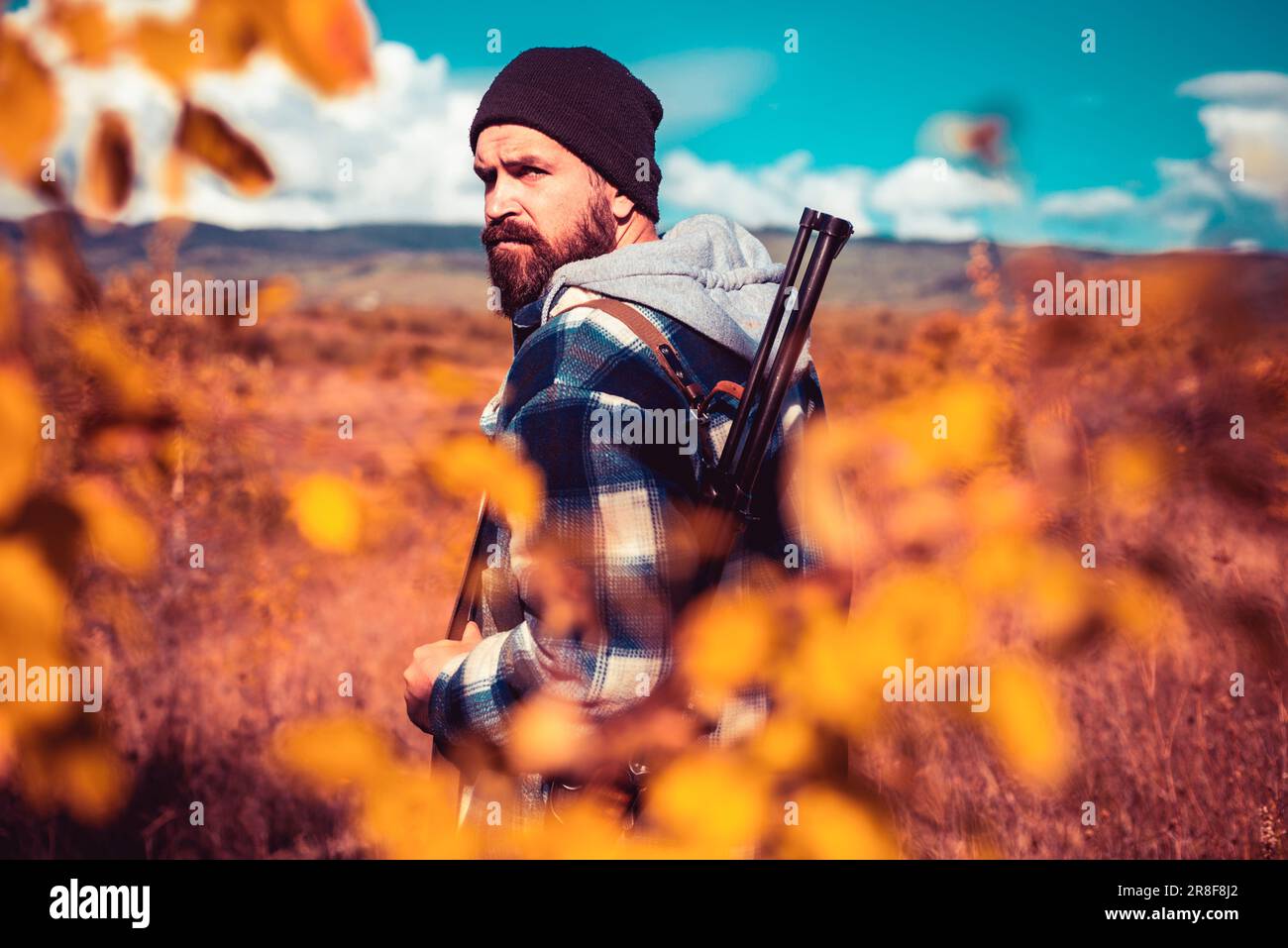 Autumn hunting season. Hunter with shotgun gun on hunt. Autunm hunting ...