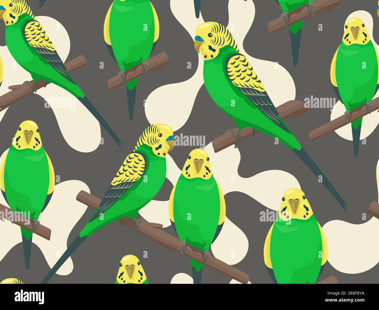 Vector parrots love seamless pattern. Cartoon cute colorful budgerigars ...