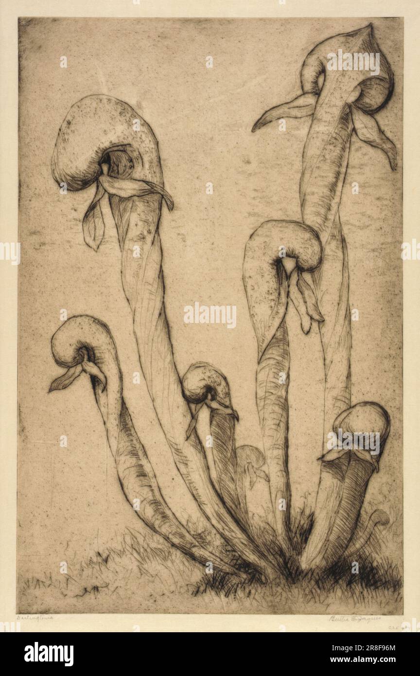 Il 1934 hi-res stock photography and images - Alamy