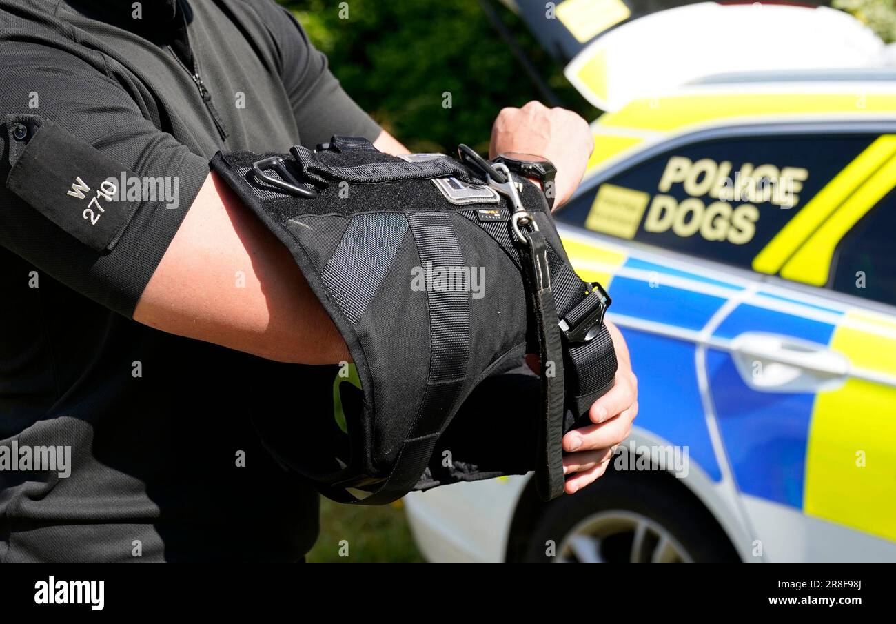 A Wiltshire police dog handler displays body armour worn by police dogs to help protect them ...