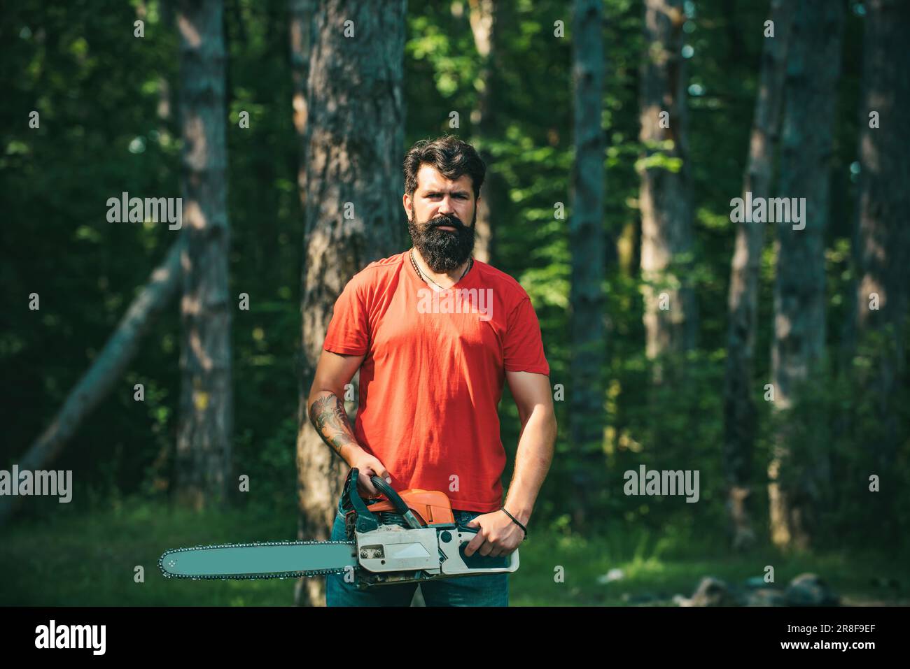 Lumberjack with chainsaw in his hands. Chainsaw. Deforestation is a ...