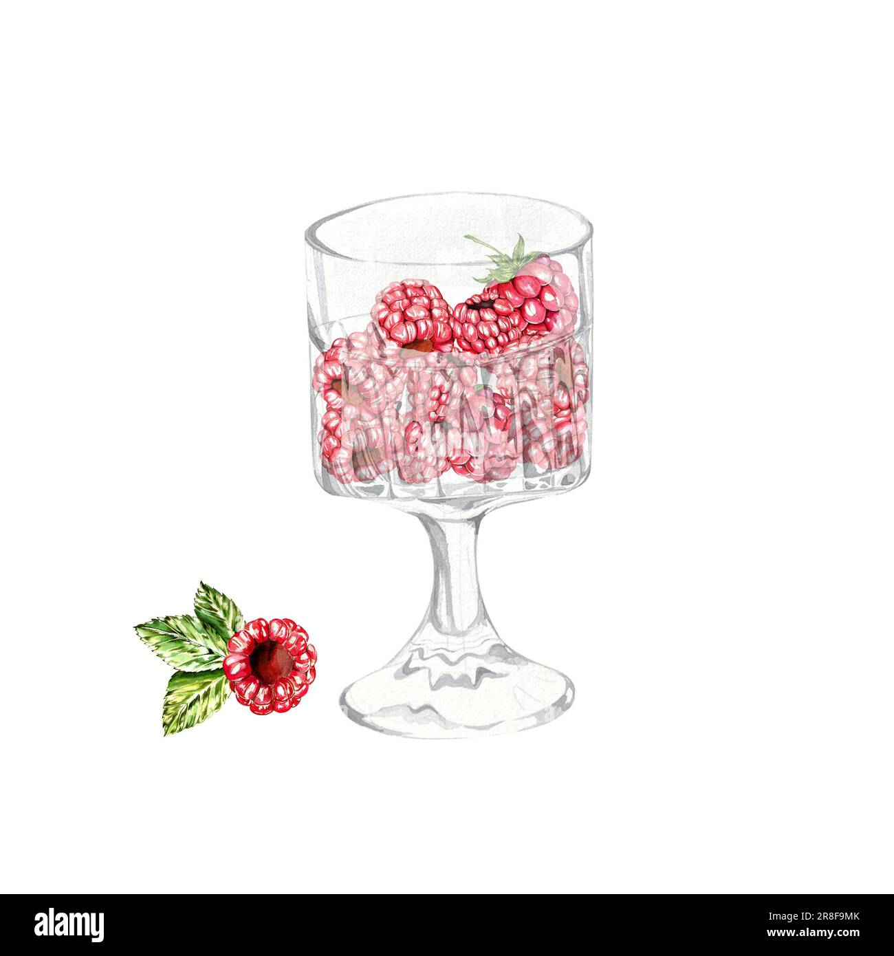 a set of watercolor elements. juicy raspberries with leaves. for ...
